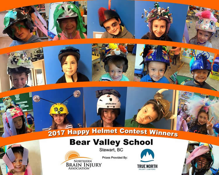 NBIA Happy Helmet Contest 2017 - Northern Brain Injury Association ...
