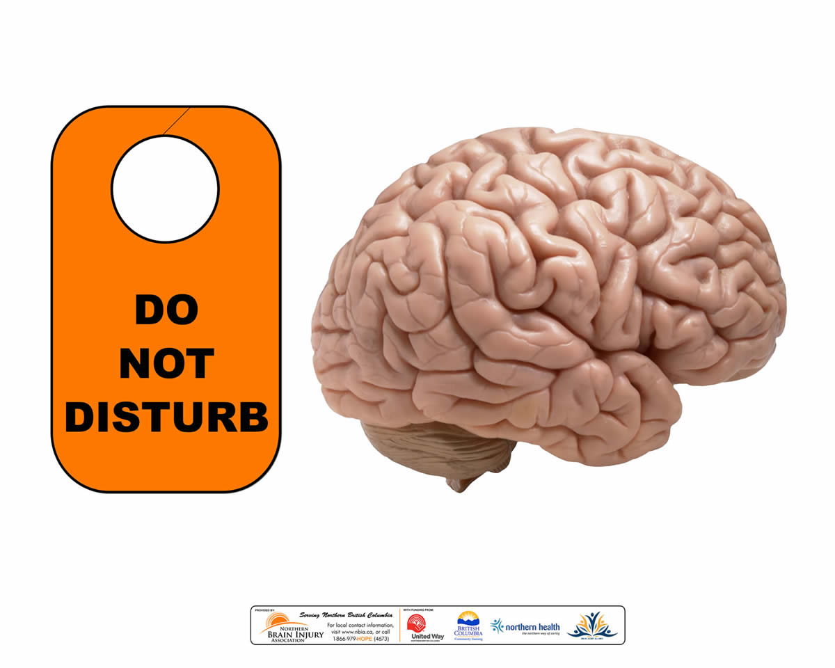 NBIA Brain Injury Prevention Posters – Landscape